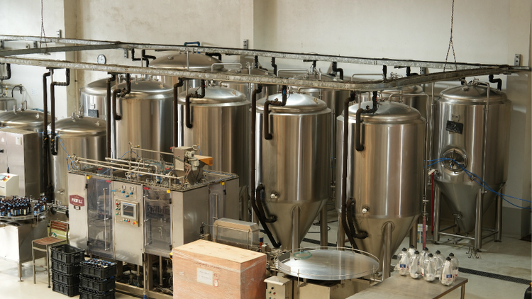 About Us – Crazy Carabao Brewing Co.